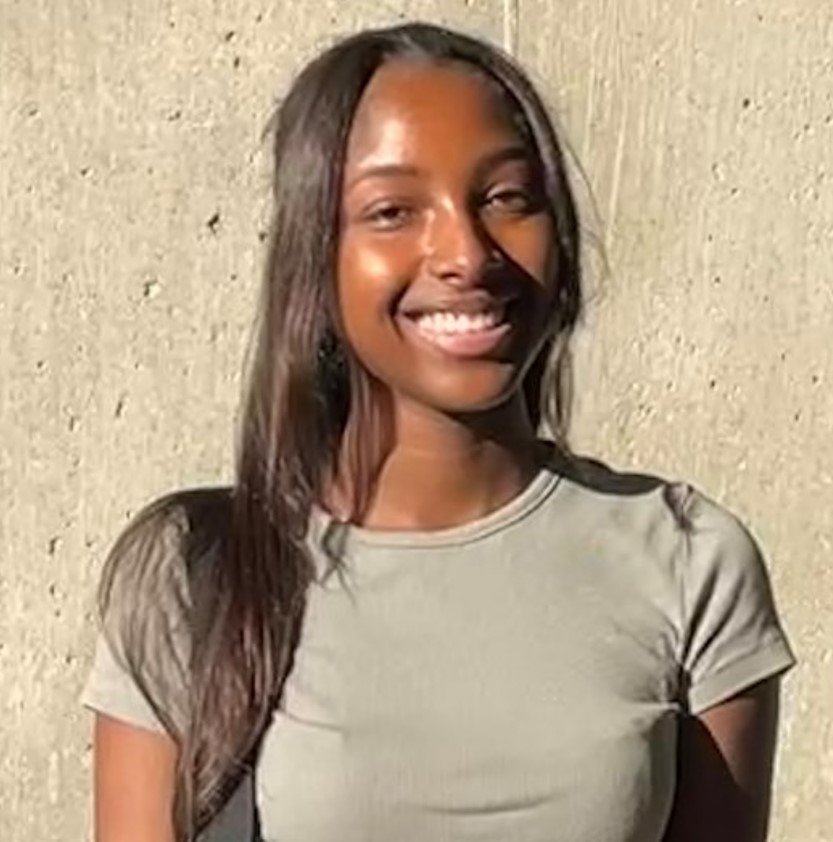 Welcome to the World Languages Lab